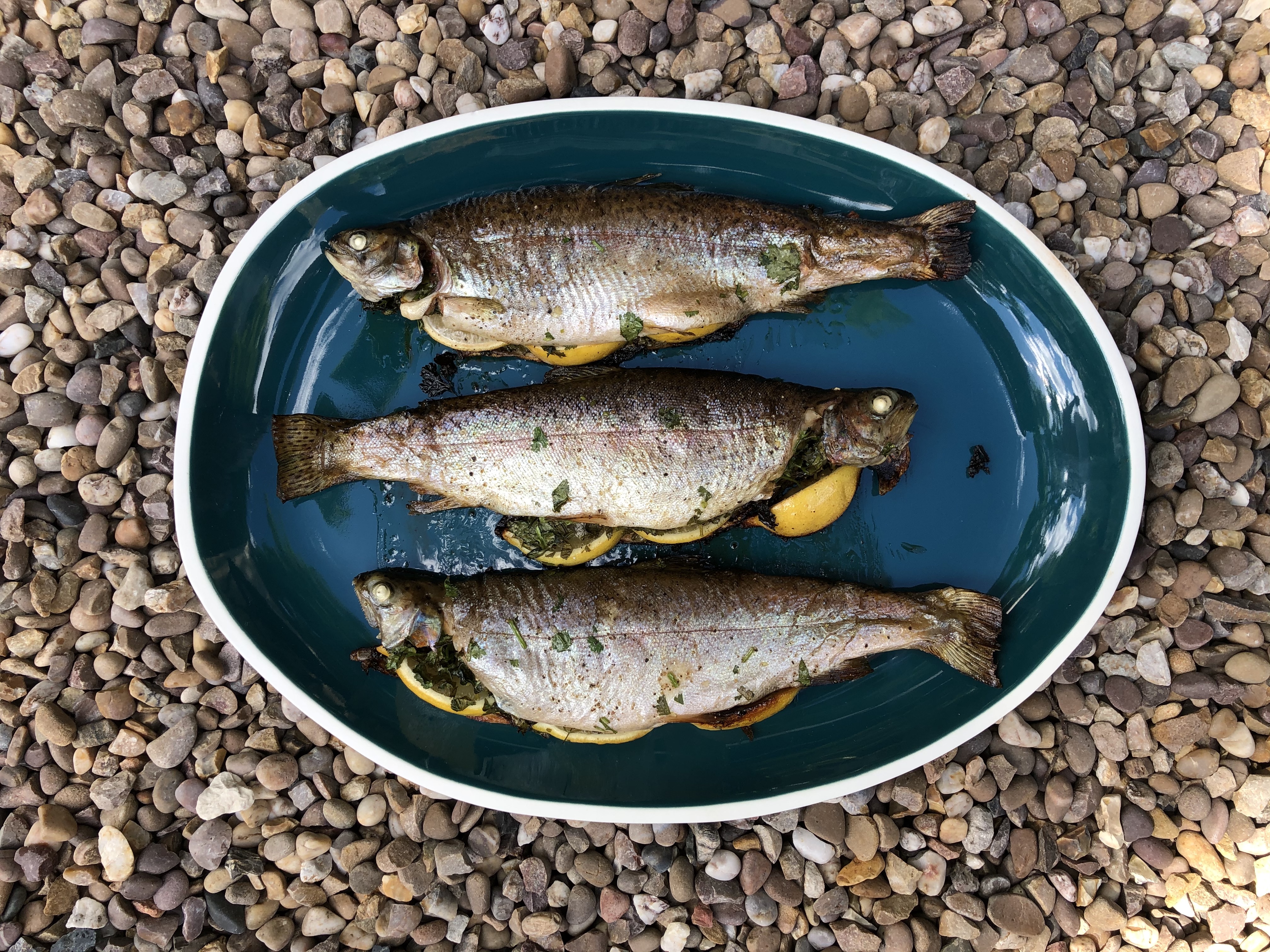 Rainbow Trout for an Old Trout – Pug's Kitchen
